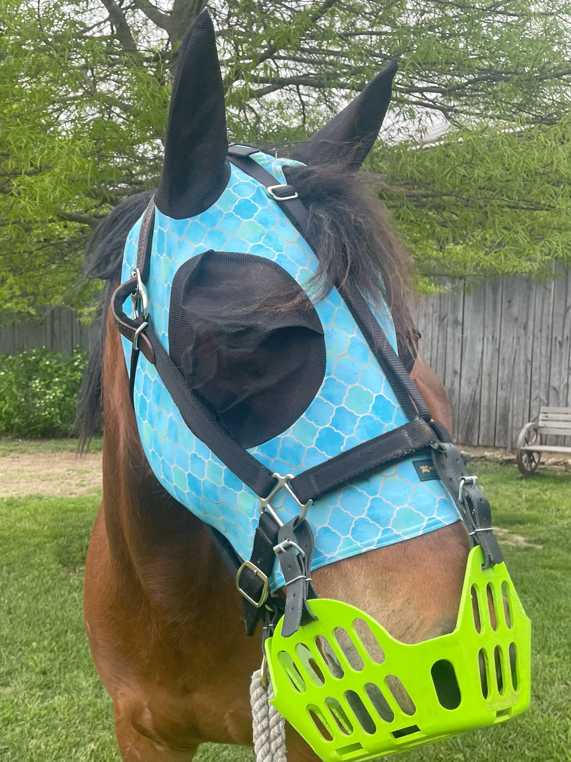 Rub Protector Lycra Fly Mask – GG Equine