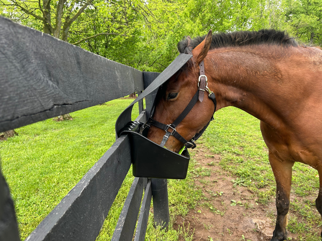 Grazing Muzzle & Turnout Accessories – GG Equine