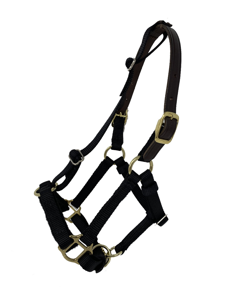 Muzzles & Halters – GG Equine
