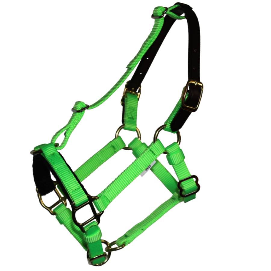 Muzzles & Halters – GG Equine